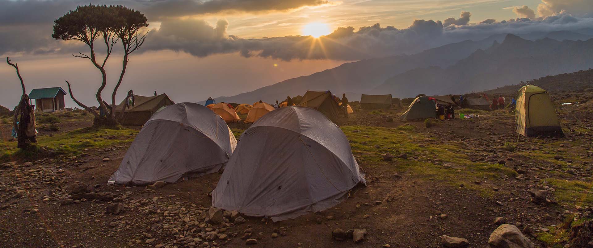 Northern Circuit Route - Kilimanjaro Climb - 8 Days